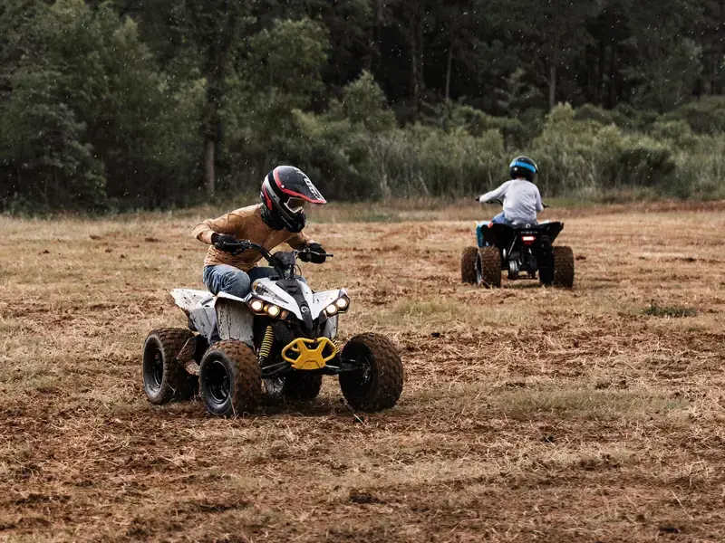 Renegade EFI